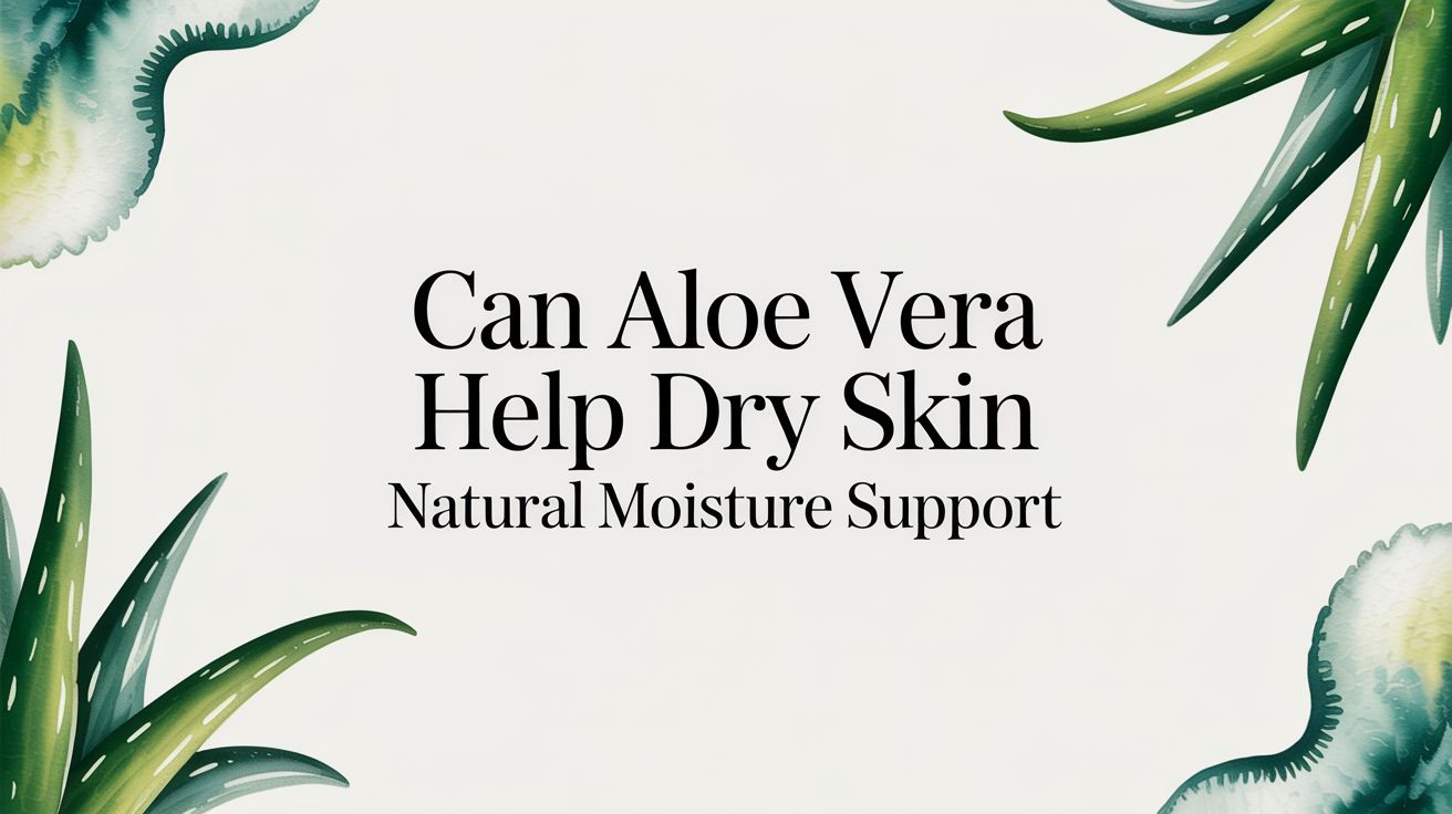 Choosing the Best Aloe Vera Skin Care Products for Radiant Skin - AloeCure