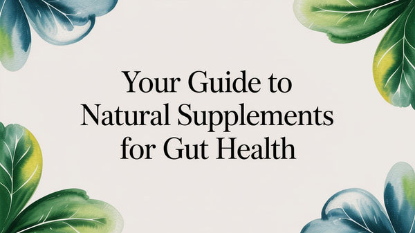 Your Guide to Natural Supplements for Gut Support - AloeCure