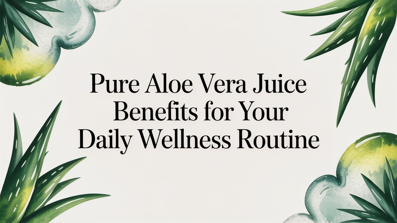 Pure Aloe Vera Juice Benefits for Your Daily Wellness Routine - AloeCure